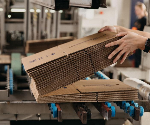 Papex – Your Paper Experts