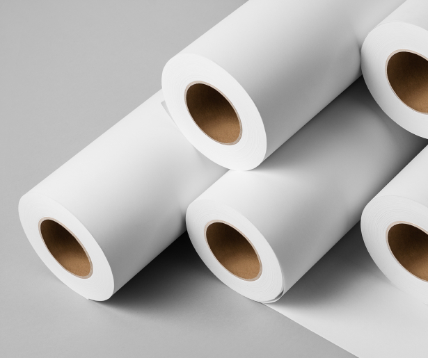 Papex – Your Paper Experts